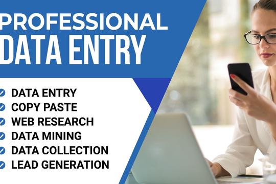 Jasa Freelance Data Entry