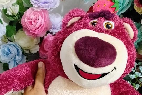 Mengedit PPT, Banner, Poster, edit foto dan grafis lainnya