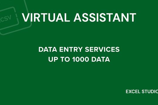 VIRTUAL ASSISTANT - EXCEL DATA ENTRY